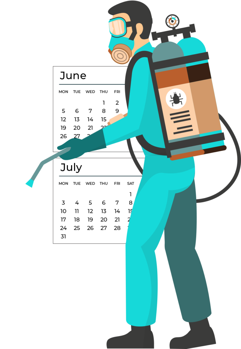 Explore Monthly Pest Protection Plans | 520 Termite